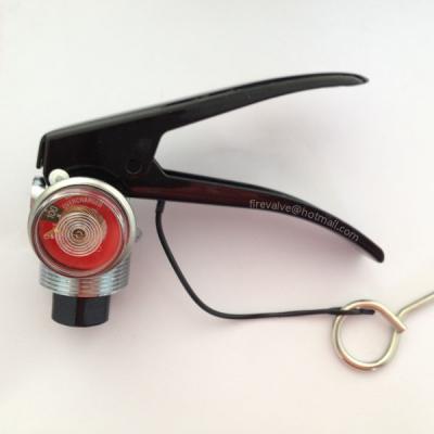China indian type fire extinguisher valve normal 5kg with pressure gauge for sale
