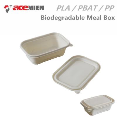 Cina Macchina eliminabile biodegradabile dell'incartonamento del pranzo dei pp in vendita