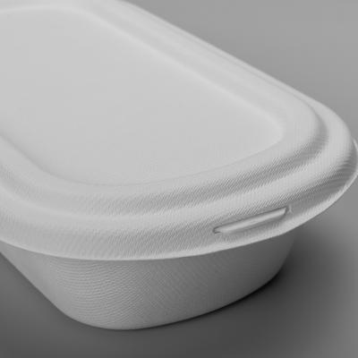 Cina Contenitori biodegradabili amichevoli di insalata di Eco in vendita