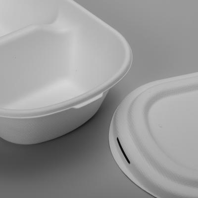 Cina Contenitori biodegradabili amichevoli di insalata di Eco in vendita
