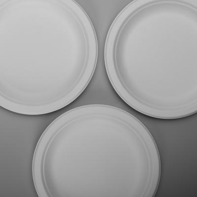中国 7インチ8gの軽食の生物分解性のサトウキビのバガスの版 販売のため