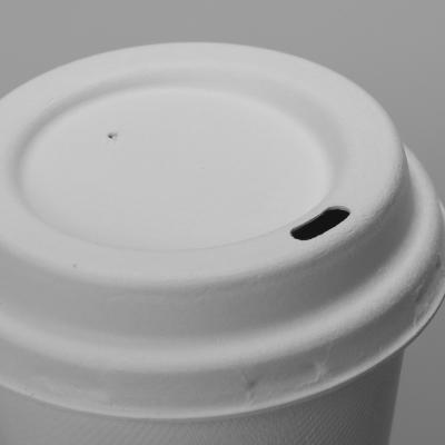 Cina La bagassa ha modellato le tazze ed i coperchi biodegradabili a perfetta tenuta della polpa 8oz 250ml in vendita