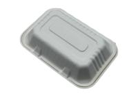 China Tableware Biodegradable 9×6inch Bagasse Takeaway Containers for sale