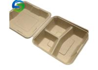 China Compostable 9 Inch×9 Inch Sugarcane Bio Food Packaging for sale