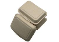China Biodegradable 7 ×5 Inch Bagasse Clamshell Containers 20g for sale