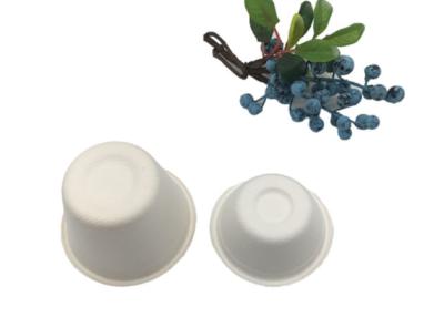 Cina tazze biodegradabili 120ml e coperchi di 4oz 72×30mm in vendita