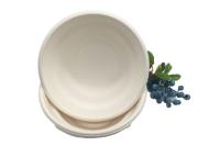 China 24oz 700ml 16g Sugarcane Bagasse Disposable Tableware for sale