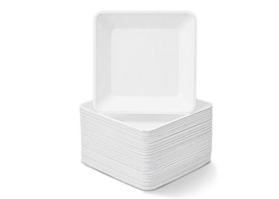 China 10 Vaatwerk van de het Suikerrietbagasse van de duimsalade het Vierkante Te koop
