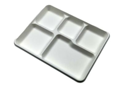 Cina Vassoi biodegradabili dell'alimento della bagassa della scuola 260x210x24mm in vendita