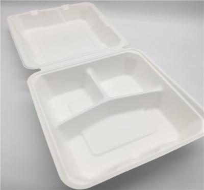 Cina Bento Petroleum Free 8