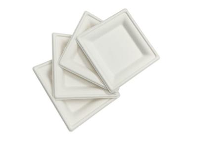 China 100% composteerbare het Afvalplaten van het 6 Duim10g Suikerriet Te koop