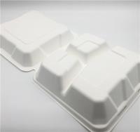 China Microwavable 23×22×5cm 45g Biodegradable Takeout Containers for sale