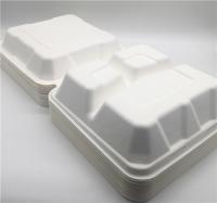 China Microwavable 23×22×5cm 45g Biodegradable Takeout Containers for sale