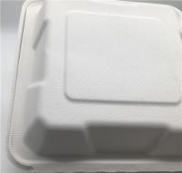 China Microwavable 23×22×5cm 45g Biodegradable Takeout Containers for sale