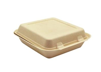 China 6 duim van de Lunchdiepvriezer de Veilige Biologisch afbreekbare Meeneemcontainers Te koop