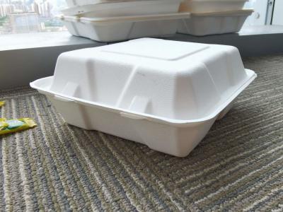 Cina Scatole di carta della bagassa 8inch del pranzo concimabile biodegradabile del compartimento per alimenti a rapida preparazione per uso del partito e del ristorante in vendita