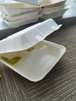 Cina Scatole di carta della bagassa 8inch del pranzo concimabile biodegradabile del compartimento per alimenti a rapida preparazione per uso del partito e del ristorante in vendita