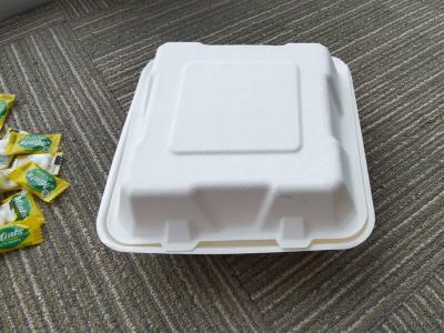 Cina Scatole di carta della bagassa 8inch del pranzo concimabile biodegradabile del compartimento per alimenti a rapida preparazione per uso del partito e del ristorante in vendita