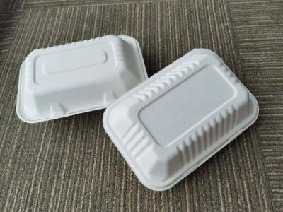 Cina Biodegradabile a 9×6 pollici da andare contenitori di alimento in vendita