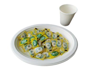 China 12 Platen van de het Suikerrietbagasse van het duim de Ovale Diner Biologisch afbreekbare Te koop