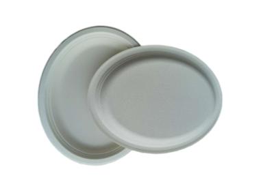 China 12 Platen van de het Suikerrietbagasse van het duim de Ovale Diner Biologisch afbreekbare Te koop