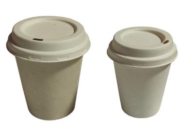 Cina coperchi concimabili modellati 80mm della tazza di caffè 8oz della canna da zucchero della polpa in vendita