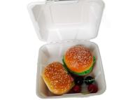 China 8 Inch  Clamshell Sugarcane  Biodegradable To Go Containers for sale