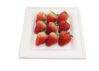 China 6 Inch 10g Cake Rectangle Biodegradable Sugarcane Plates for sale