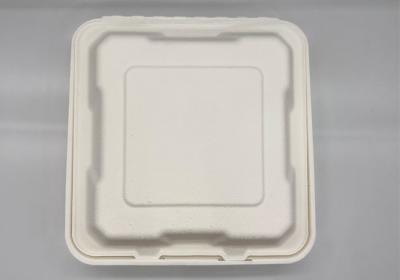 Cina 3 contenitori di alimento da portar via biodegradabili a 9 pollici del compartimento in vendita