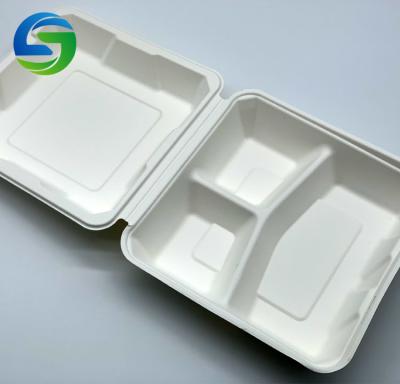 Cina 3 contenitori di alimento da portar via biodegradabili a 9 pollici del compartimento in vendita