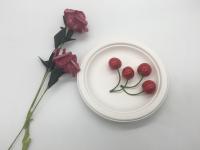 China Waterproof 12 Inch Tableware Sugarcane Pulp Plates for sale