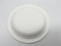 China Waterproof 12 Inch Tableware Sugarcane Pulp Plates for sale