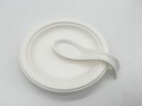 China Waterproof 12 Inch Tableware Sugarcane Pulp Plates for sale