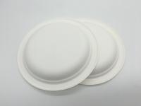 China Waterproof 12 Inch Tableware Sugarcane Pulp Plates for sale