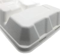 China Microwavable 23×22×5cm 45g Biodegradable Takeout Containers for sale