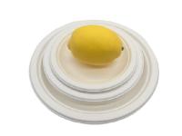 China Waterproof 12 Inch Tableware Sugarcane Pulp Plates for sale