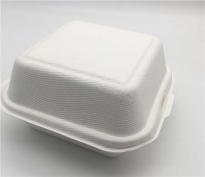 Cina 6