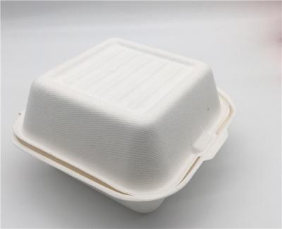 Cina 6