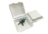 China Dinnerware  8×8 Inch 100% Biodegradable Takeout Containers for sale