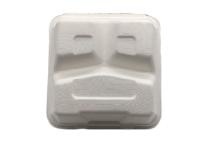 China 3 Compartment 1560ml 9×9 Inch Biodegradable Togo Boxes for sale