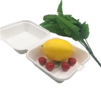 China 6x6 Inch  Biodegradable Takeout Containers for sale