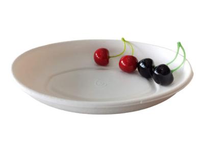 Cina contenitori biodegradabili di insalata 24oz in vendita