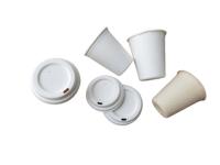 China Sugarcane 12oz 350ml Biodegradable Cups And Lids for sale