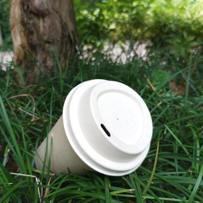 Cina Copertura eliminabile modellata concimabile della tazza della canna da zucchero per l'imballaggio della bevanda in vendita