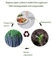 China Biodegradable Compostable Bagasse Paper Disposable Cutlery for sale
