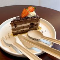 China Biodegradable Compostable Bagasse Paper Disposable Cutlery for sale