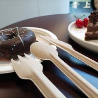 China Biodegradable Compostable Bagasse Paper Disposable Cutlery for sale