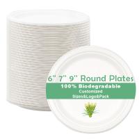 China Disposable Sugarcane Bagasse Compostable Pulp Tableware Party Paper Plate for sale