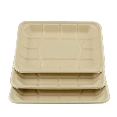Cina Vassoio di carta concimabile 8*6inch 100% ecologico dell'alimento della bagassa della canna da zucchero biodegradabile in vendita