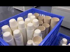 Portable Sugarcane Bagasse Cups Hot-Selling Eco Friendly Disposable Products